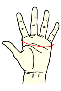 Standard Size Guide for Garments